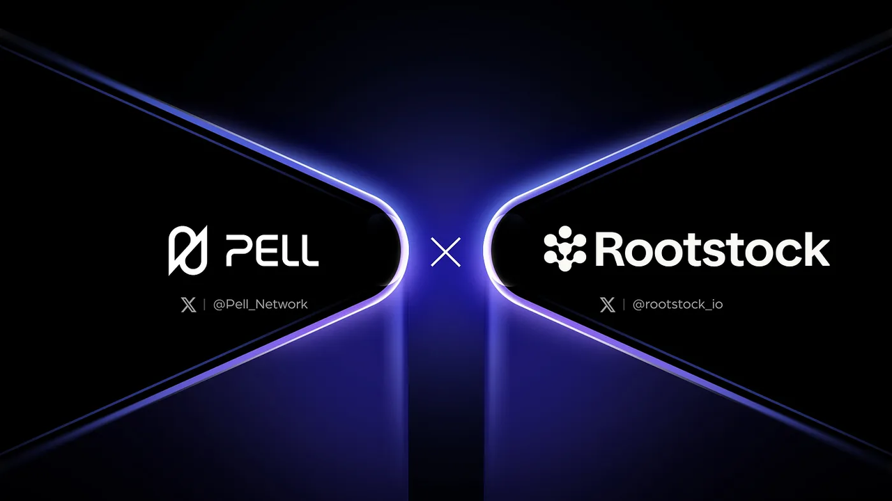 Pell Network | BTC Restaking - First & Omnichain Bitcoin Restaking ...